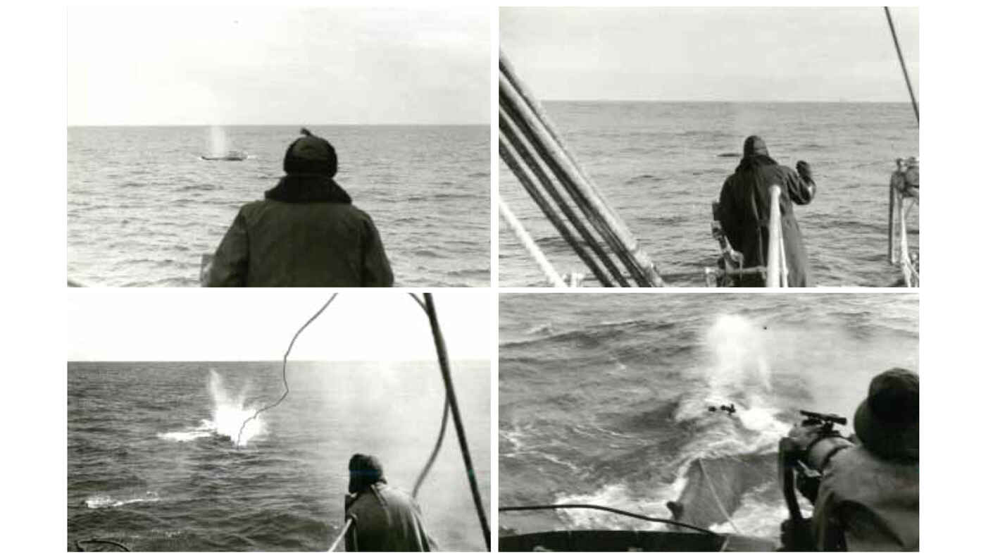 Foyer-Ausstellung zum Thema Walfang (2)