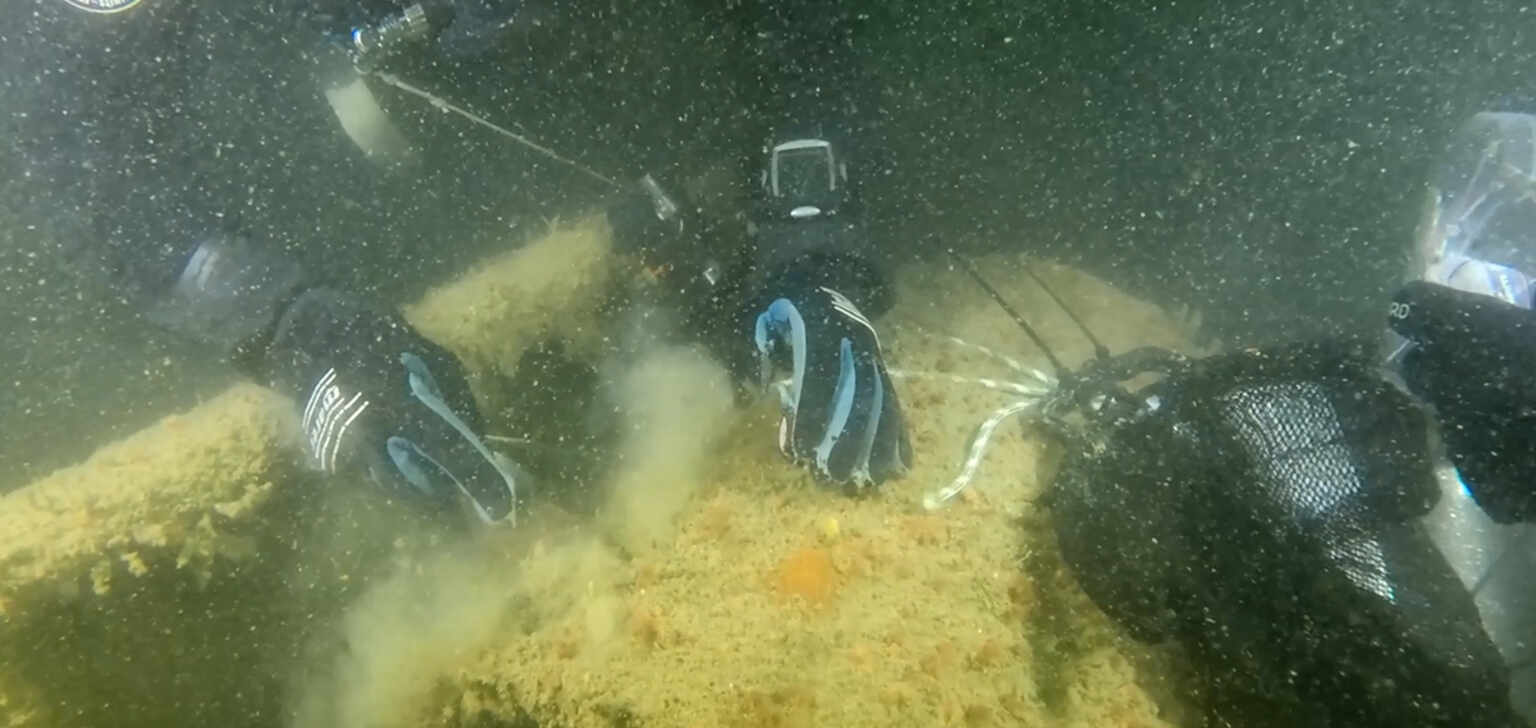 Forschung: Von der Akte zum Wrack