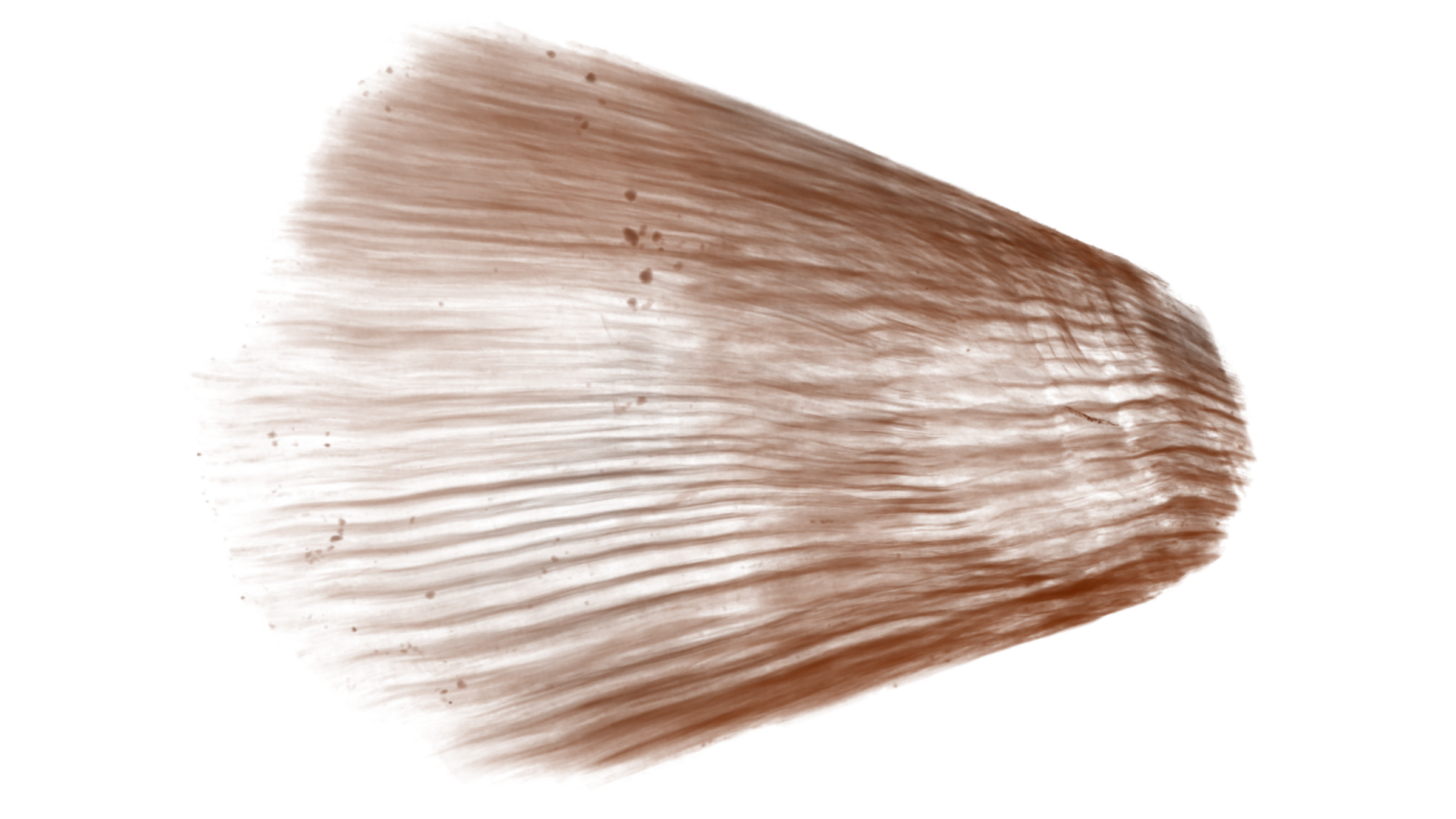 Knowledge through Digitized Material? - Objects, Images, Perspectives