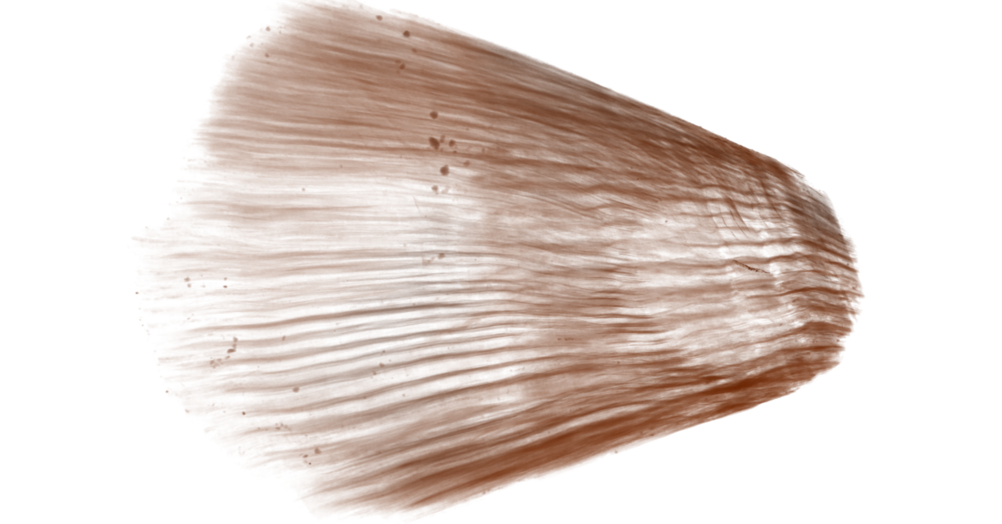 Knowledge through Digitized Material? - Objects, Images, Perspectives