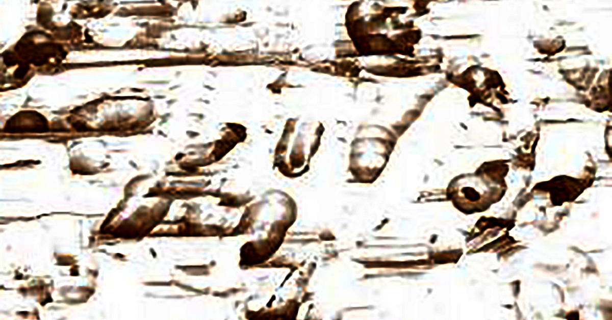 The Naval Shipworm Teredo navalis