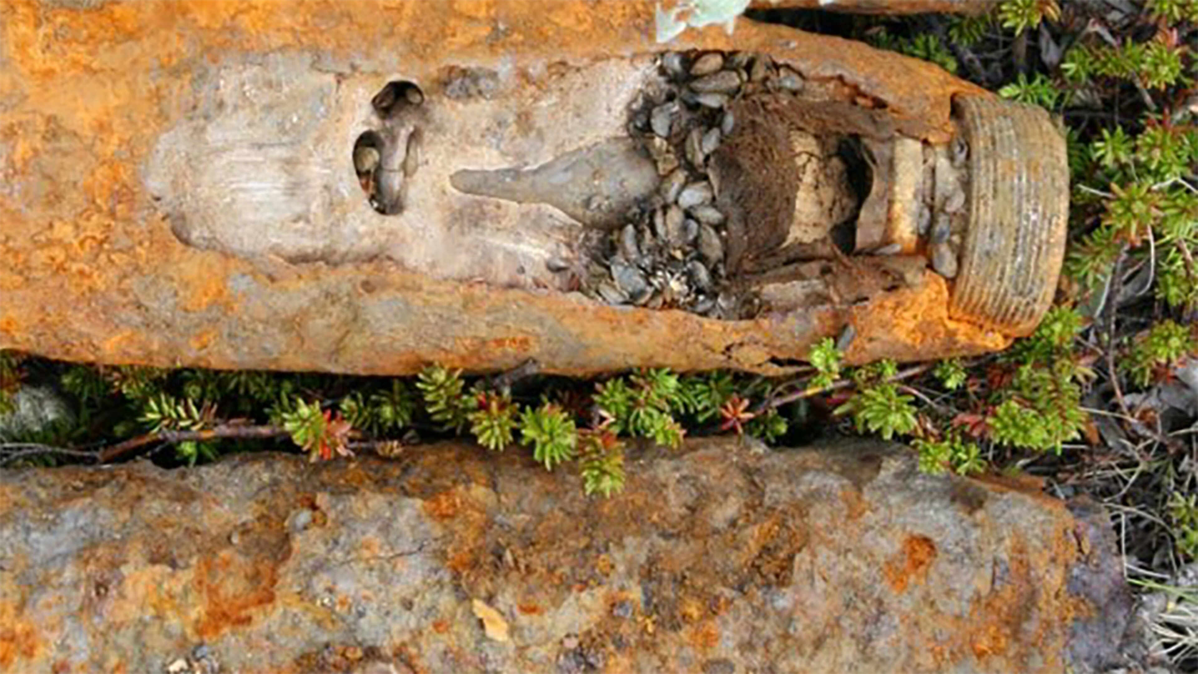Toxic Legacies of War- North Sea Wrecks