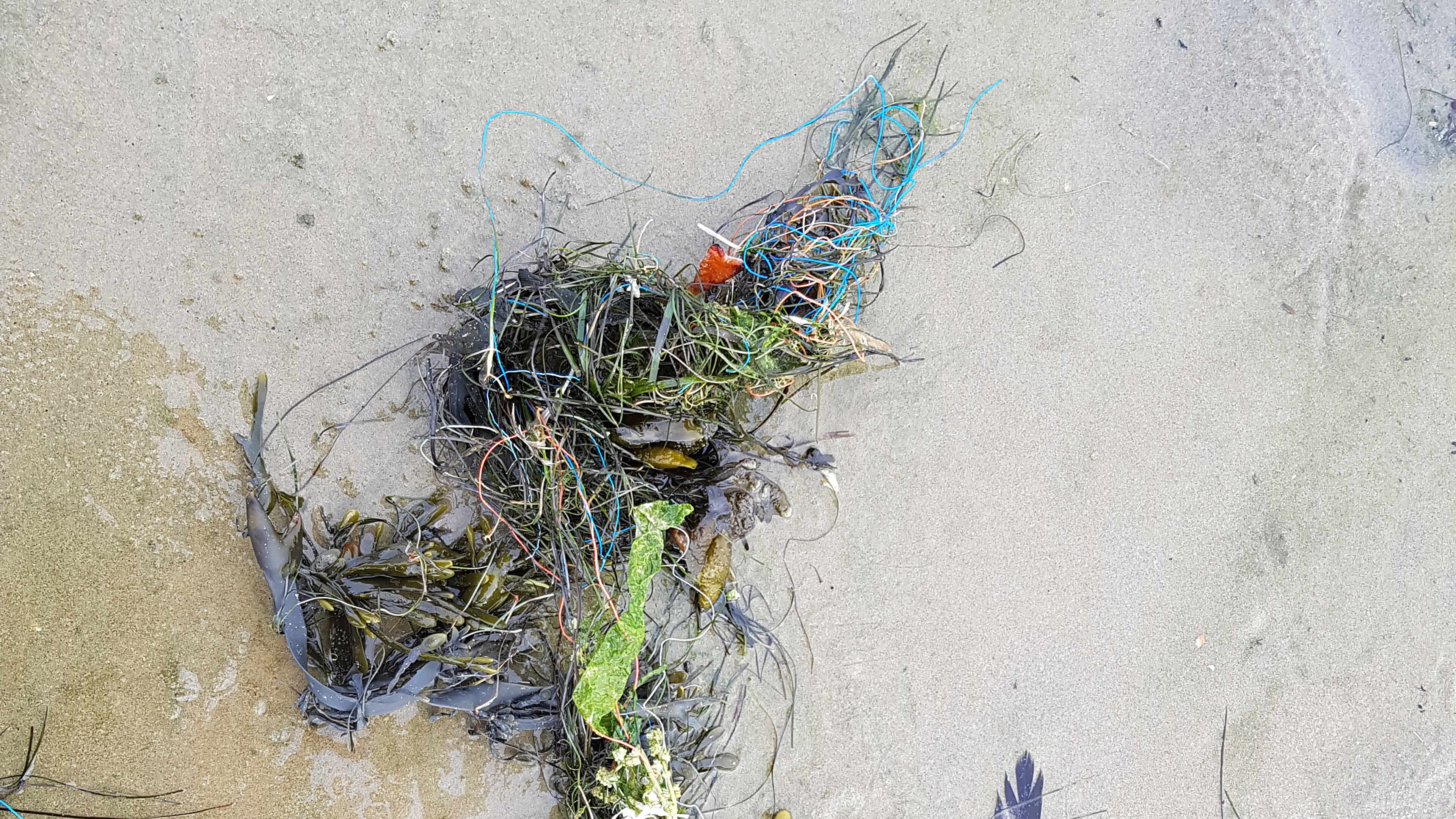 Abfall in Bewegung