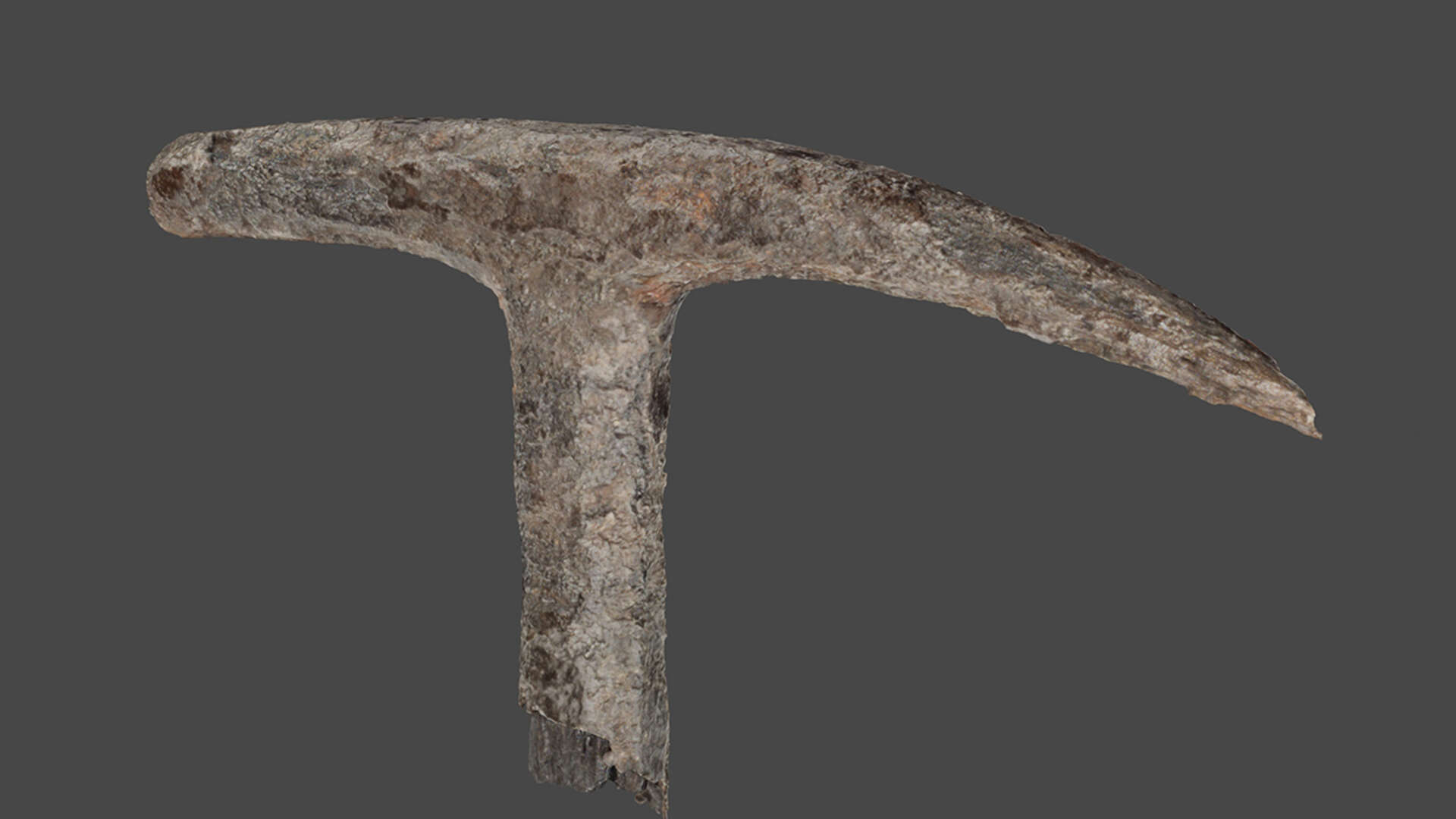 Workshop: Late medieval sea vessels in Northern Europe